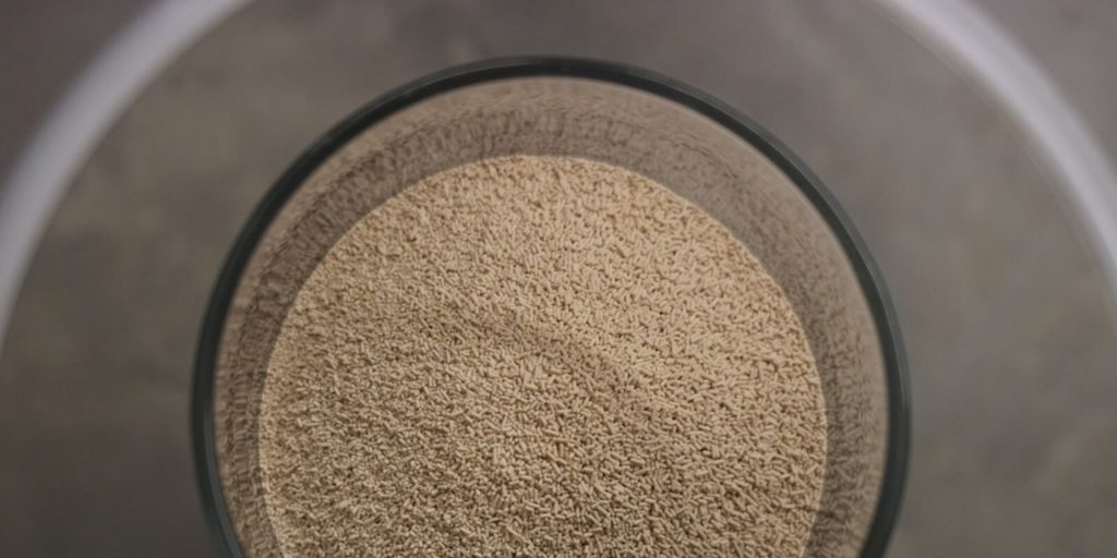 Blog von VIGEOVIT® | Bierhefe.